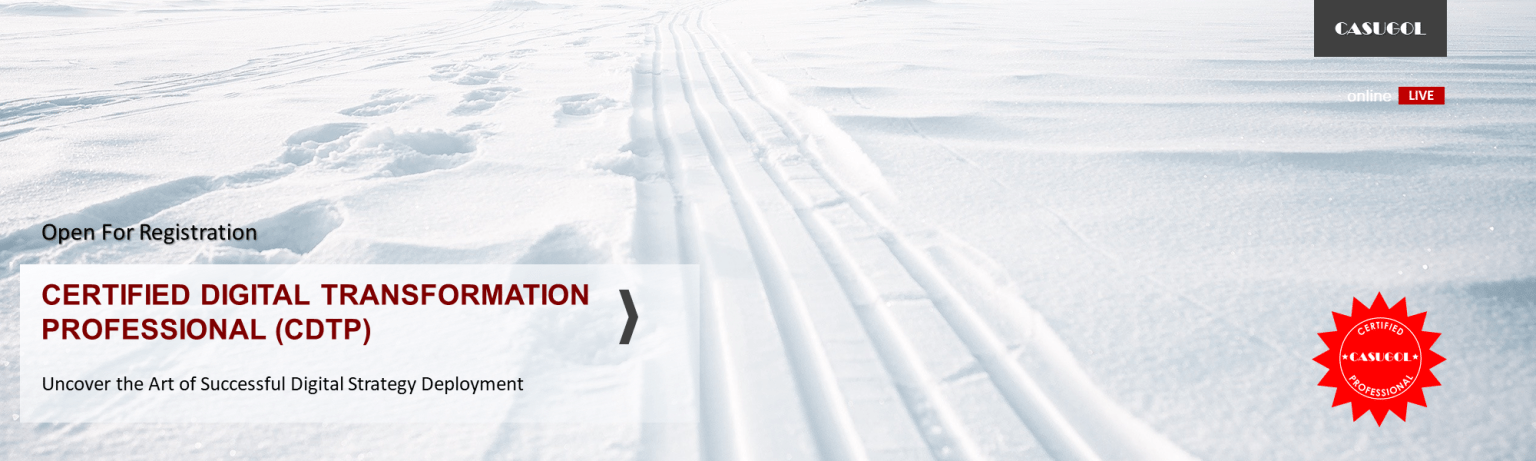 CASUGOL - International Certification | Leader in Digital Transformation | Professional ...